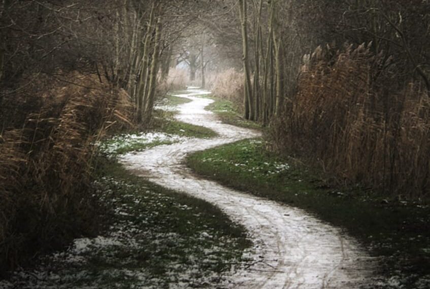 ବାଟ – The Nirvik